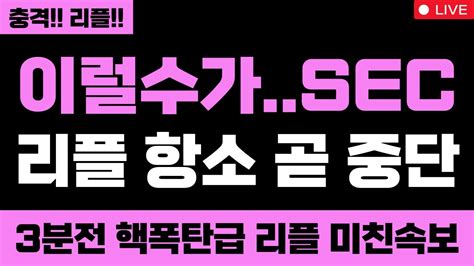 리플 완전 미쳤습니다 이럴수가sec 리플 항소 곧 중단 대박입니다 3분전 핵폭탄급 리플 미친속보 Xrp 무조건 올라요 엑스알피 리플코인 엑스알피전망 Youtube