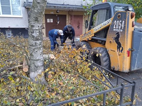 Сегодня 11 10 2022 на территории ООО ЖКС №1 Фрунзенского района