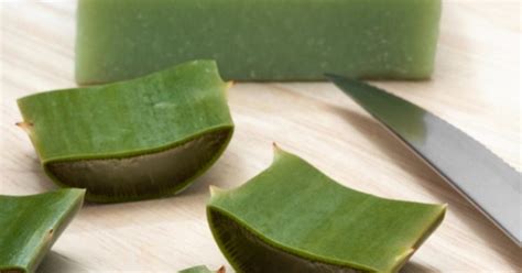 The Best Aloe Vera Soaps Whatshot Delhi Ncr