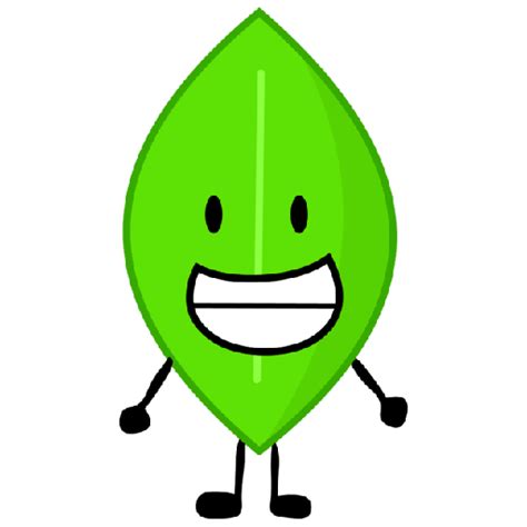 Bfdi Leafy Item Texture Novaskin