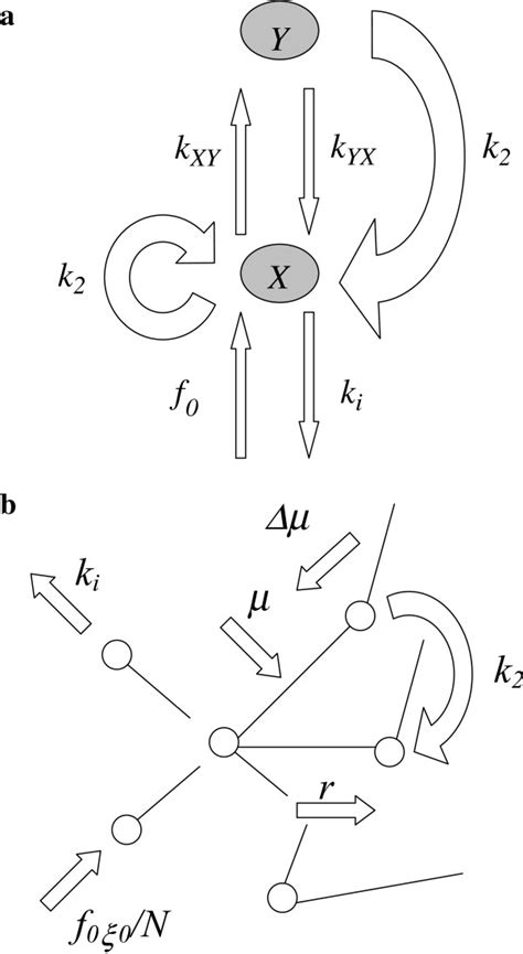 The Kinetic Model Of The Protein Interactome Evolution A Schematic