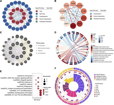 Hub Gene Identification And Functional Annotation A Ppi Network Of Download Scientific