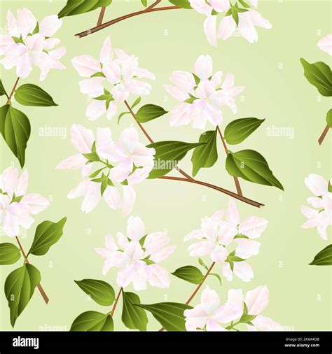 Seamless Texture Branches Decorative Shrub With White Flowers Nature Background Vector