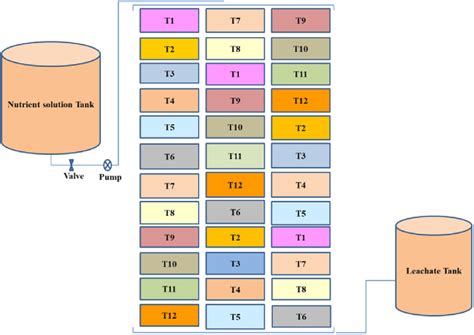 Layout Of Experiment Treatments Download Scientific Diagram
