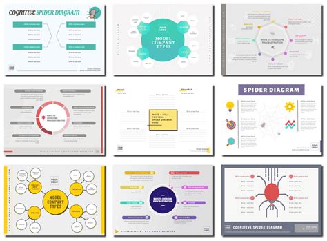 Create A Spider Diagram Online And Free