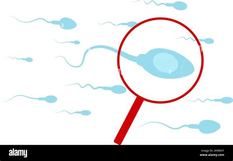 Spermogram Concept Clinical Test Of Male Fertility And Semen Quality For Sperm Bank Or Family