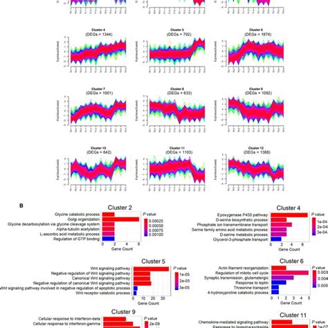 Temporal Expression Analysis Of Deregulated Long Noncoding RNAs And