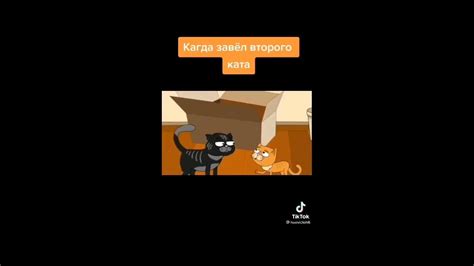 топ 12 самых смешных видео из тик тока Youtube