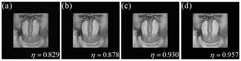 Weighted Constraint Iterative Algorithm For Phase Hologram Generation