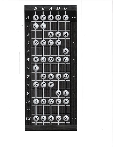 5 String Fretboard For Guitar Players