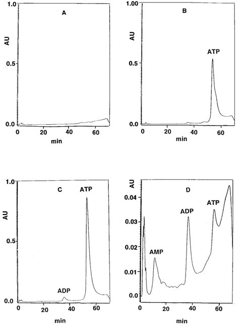 Hplc Analysis Of Reaction Mixture Containing Mono Q Column Flowthrough