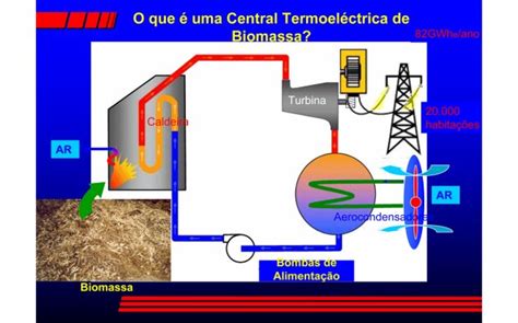 Central De Biomassa De Viseu 52 M€ E Em Funcionamento Em 2019