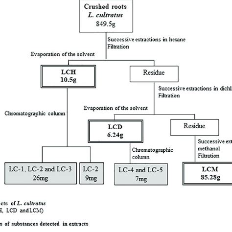 Chemical Structures Of LC 1 Derricin LC 2 Lonchocarpine LC 3 Download Scientific Diagram