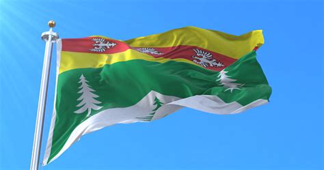 프랑스 그랜드 에스트 지역의 보주 부서의 국기 3d 렌더링 생 디에 데 보주에 대한 스톡 사진 및 기타 이미지 생 디에 데 보주 Grand Est 국기 Istock