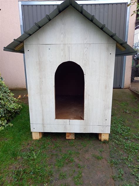 Cusca Pentru Caini Izolata Decebal • Olx Ro