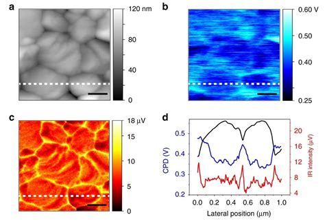 Quantification Of Electron Accumulation At Grain Boundaries In… Blog • By Nanoworld® World