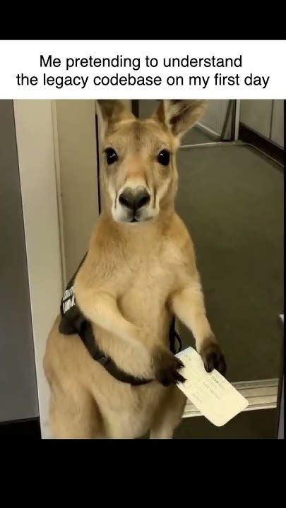 Weve All Been There Webdev Frontenddevelopment Programming Coding