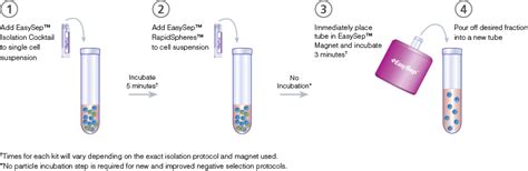 B Cell Isolation Kit Stem Cell Combles Isolation