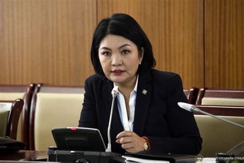 Агаарын бохирдлыг бууруулах асуудлын дэд хорооны дарга Б Саранчимэг тэргүүтэй гишүүд БОАЖ ын