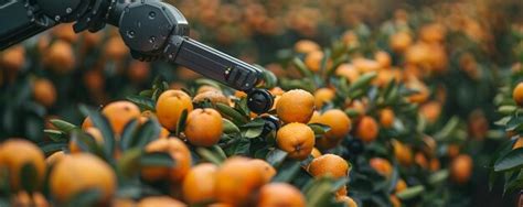 Premium Photo Autonomous Fruit Picking Robots Background
