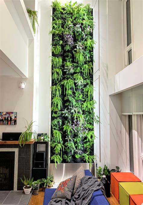Best Plants For Living Wall At Carisa Macaulay Blog