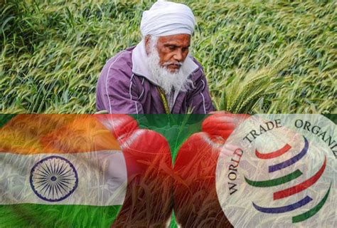 Understanding The Msp Issue India And Wto Lokmarg News Views Blogs
