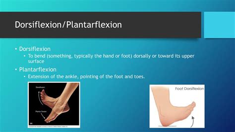 Standard 2 Objective 2 By Ryan And Easton Ppt Download
