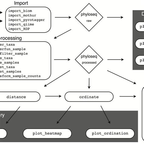 Pdf Phyloseq An R Package For Reproducible Interactive Analysis And Graphics Of Microbiome