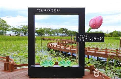 강릉 1박2일 뚜벅이 여행코스 10 순위 해프릭스