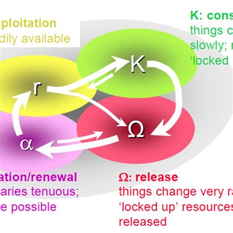 Visual Representation Of The Adaptive Cycle Download Scientific Diagram