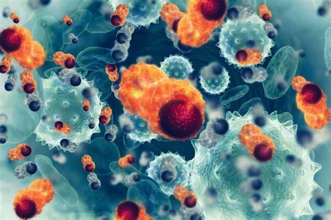 New Developments In The Field Of Circulating Tumor Cells 2024