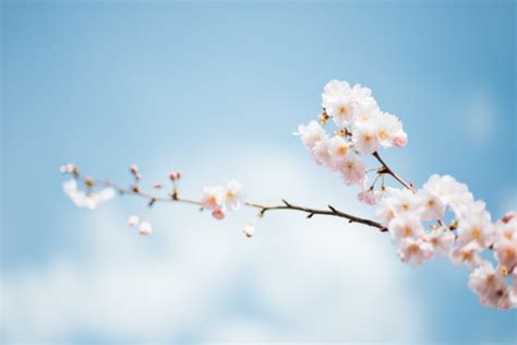 Microservices With Spring Boot Spring Cloud Gateway And Consul Cluster
