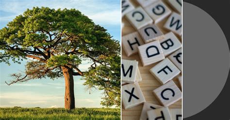 List Algorithm Curated By Ahmad Wijaya Medium