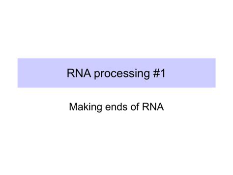 RNA Processing Making Ends Of RNA