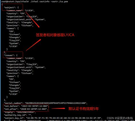 使用cfssl为程序添加证书 cfssljson使用 csdn博客