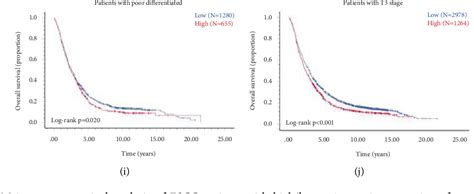 Figure 8 From The High Expression Of P53 Is Predictive Of Poor Survival