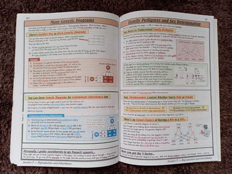 Edexcel Certificate International Igcse Biology Revision Guide Summary Hobbies And Toys Books