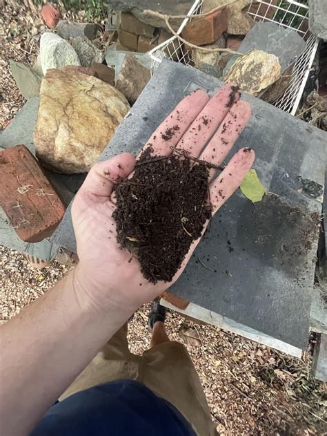 Chemical Composition Of Finished Compost R Composting