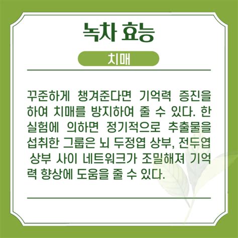 녹차 효능 및 부작용 카페인 한국인플루언서뉴스