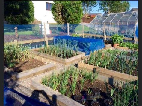 Firewoken Farm Jefferson Tx