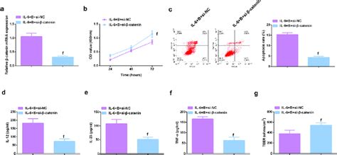 β Catenin Knockdown Further Promotes The Protective Effect Of Berberine