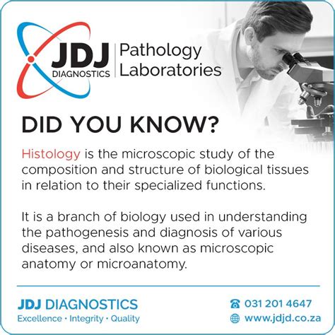 Jdj Diagnostics On Linkedin Histology Pathology Jdjdiagnostics