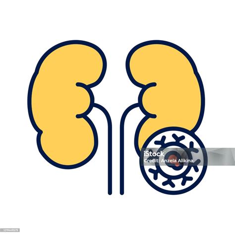 신장암 선 색상 아이콘입니다 종양학 격리된 벡터 요소입니다 웹 페이지 모바일 앱 프로모션에 대한 개요 Pictogram 개념에 대한 스톡 벡터 아트 및 기타 이미지 Istock