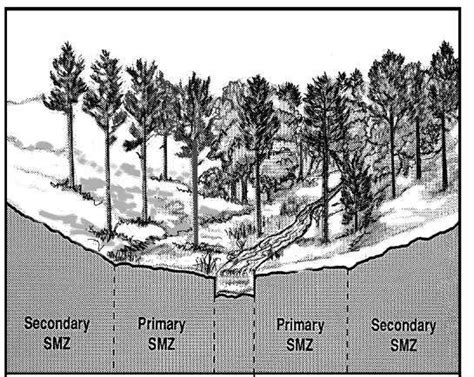Suggested Primary And Secondary Riparian Buffer Zones By South Carolinas Download Scientific