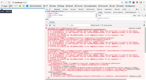 Angular Cant Bind To Ngmodel Since It Isnt A Known Property Of P
