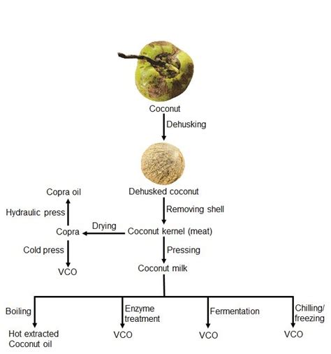 Different Extraction Methods Of Coconut Oil Download Scientific Diagram