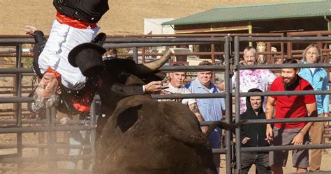 Jackass Forever Review Ouch My Balls The Movie