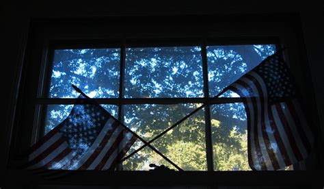 Yours For Good Fermentables ™ Pick Of The Week Flags In Window