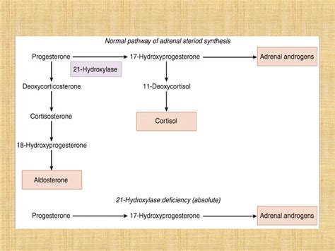Inborn Errors Of Metabolism Ppt