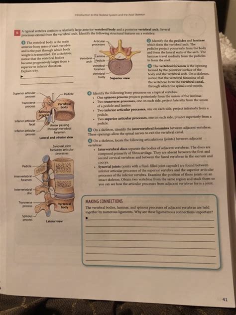 Solved Classifying Bones According To Location Bones Can Be Solved Classifying Bones According To Location Bones Can Be